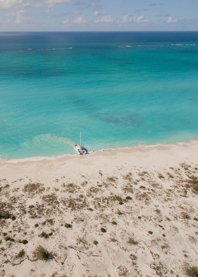 Iguana Island Catamaran Cruise - Hej Doll | Simple modern living by ...