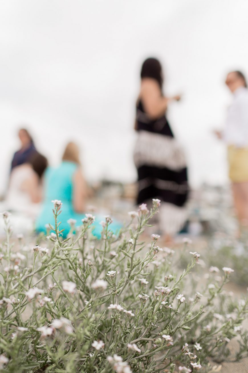 A Midsummer Beach Picnic - Hej Doll | Simple modern living by Jessica Doll.