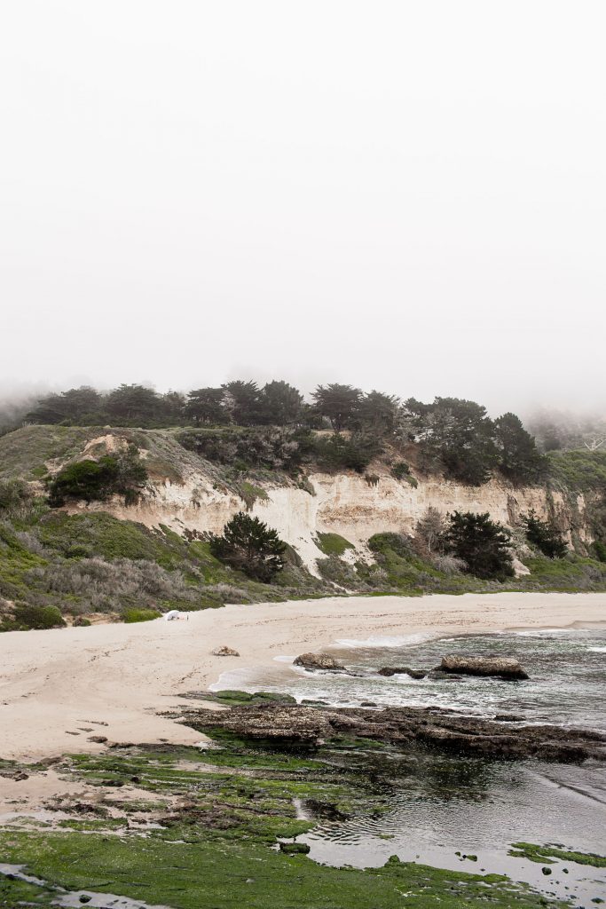 Greyhound Rock Beach near Davenport, California - Hej Doll | Simple ...