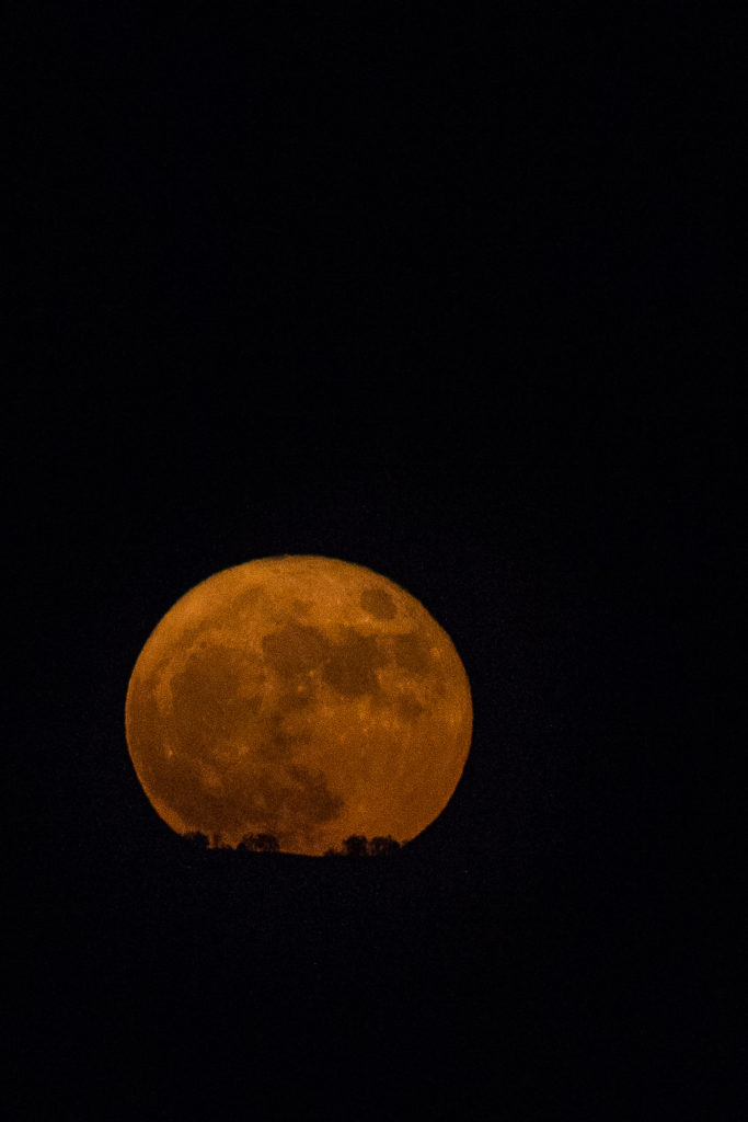 How to Photograph the Moon - Hej Doll | Simple modern living by Jessica ...