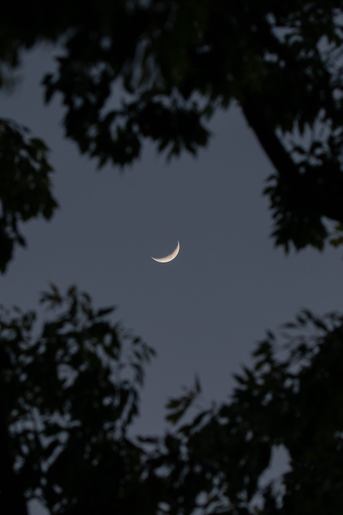 How to Photograph the Moon - Hej Doll | Simple modern living by Jessica ...